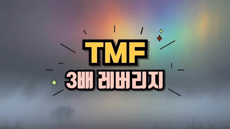 미국 장기 국채 3배 레버리지 채권 TMF ETF 주가 전망 - 불주사